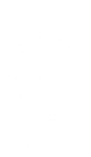 The Ciselier Guide to Scissor Anatomy - Ciselier Company