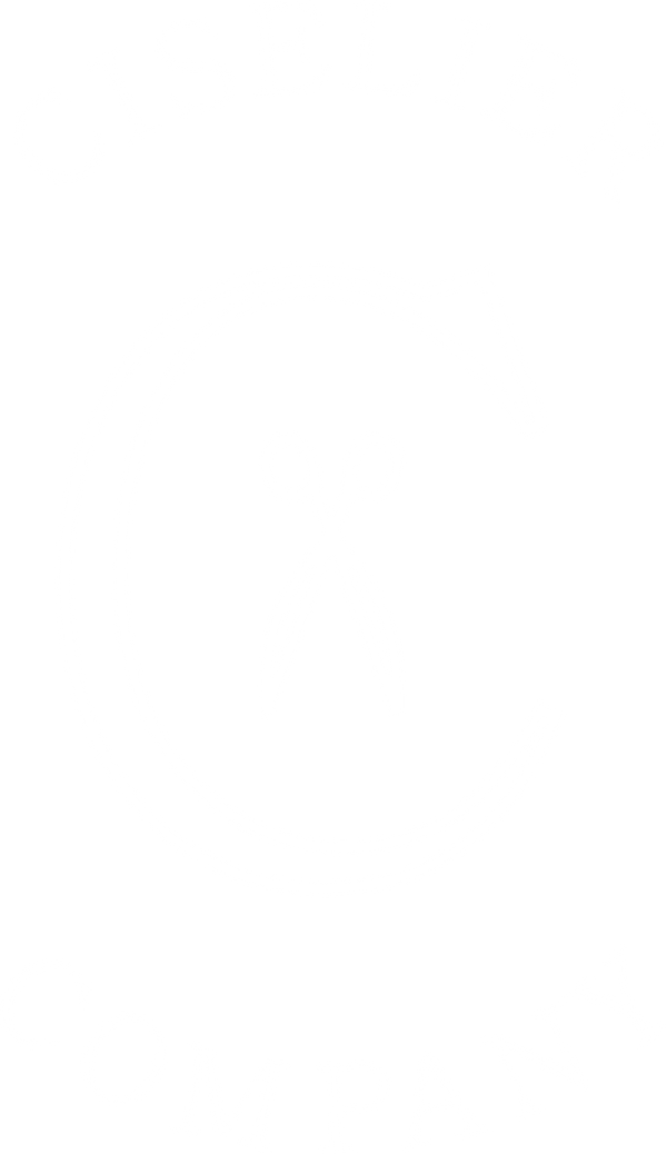 The Ciselier Guide to Scissor Anatomy - Ciselier Company